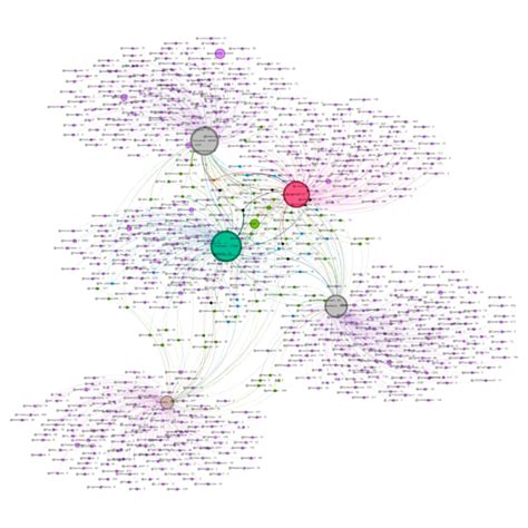 teach basic network analysis and visualisation in gephi by shiwani285