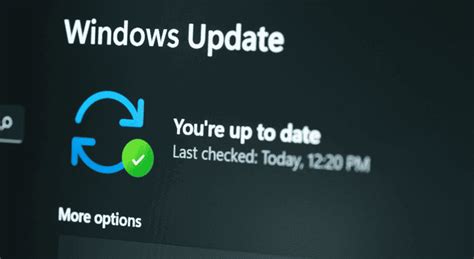 Managing Software Updates Lumitiv