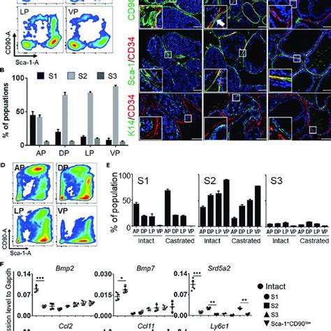 Scrna Seq Reveals Distinctive Subpopulations On Prostate Stromal Cells