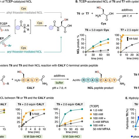 Tcep Accelerated Native Chemical Ligation A Proposed Pathways For