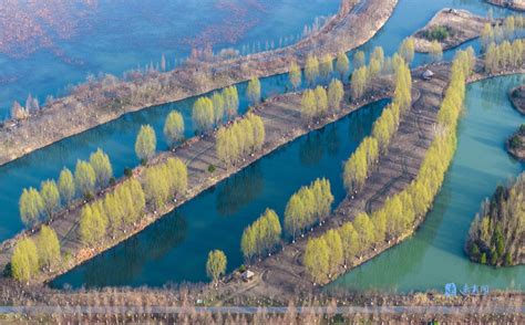 图说丨初春湿地景如画