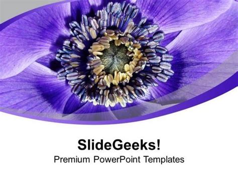 Purple Colored Flower Background Powerpoint Templates Ppt Backgrounds