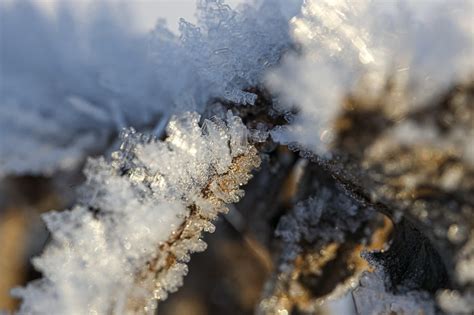 Geada Frio Neve Foto Gratuita No Pixabay Pixabay