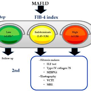 The Two Step Algorithm In MAFLD Higher Low Cutoff Point FIB Index Download Scientific