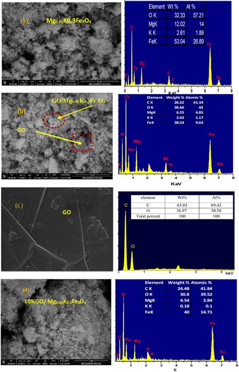 Sem Micrographs And Edax Spectra For A Mg085k03fe2o4 B Go