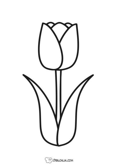 Tulipanes Dibujo Animado
