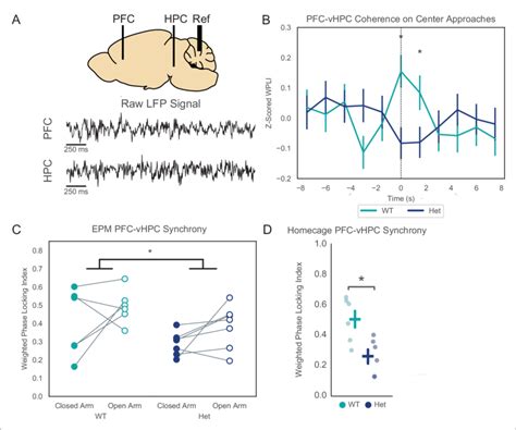 pogz mice have reduced vhpc pfc theta synchrony both at baseline and