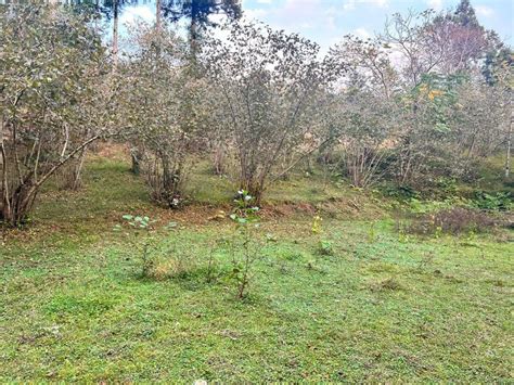 Продается земельный участок в селе Сачино