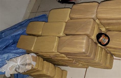 Denúncia Anônima Leva Pf Apreender Cocaína Avaliada Em Cerca De R 3