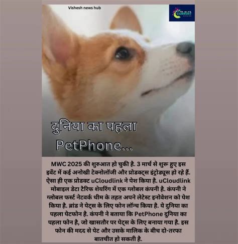विशेष न्यूज हब ️ Visheshnewshub • Instagram Photos And Videos