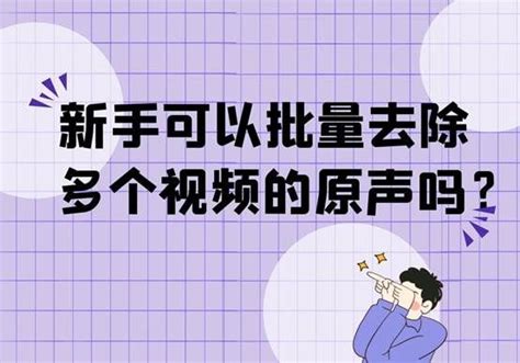 有没有适合新手批量给多个视频去除原声的简单操作方法？ 哔哩哔哩