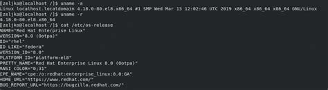 Command To Check Rhel Version Printable Forms Free Online
