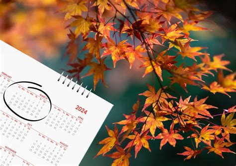 Pronóstico Para Marzo En Chile Por Viviana Urbina Esta Es La Fecha En
