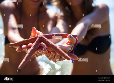 Friends Holding Starfish At Beach Stock Photo Alamy