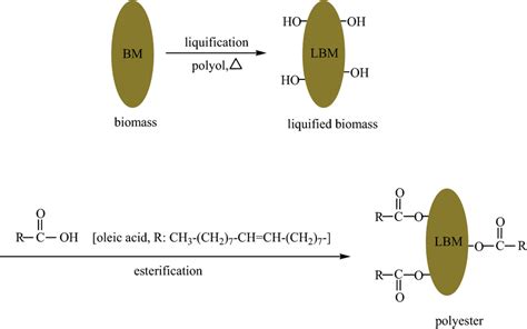Preparation Of Environmental Friendly Polyester Form Natural Materials