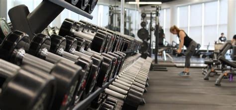 Avoiding Common Mistakes Bodybuilding Dos And Don Ts Thomson Scientific
