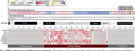 Figure 2 From Antibody Epitope Profiling Of The Kshv Lana Protein Using