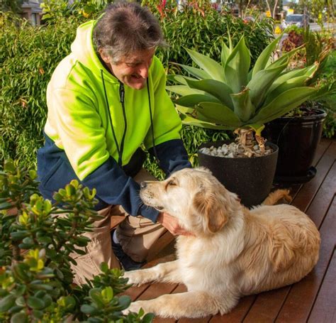 About Us Affinity Support