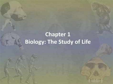 Ppt Chapter 1 Biology The Study Of Life Powerpoint Presentation