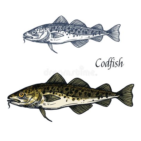 Cod Fish Logo Stock Illustrations 820 Cod Fish Logo Stock