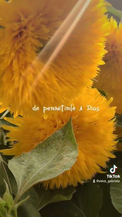 Siganme En Mi Nueva Cuenta De Tik Tok 🔴 Youtube