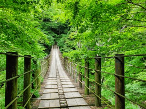 茨城県穴場な観光地を半日日帰りドライブ絶景自然お出かけ旅行スポット人気定番から暇つぶし隠れ珍名所2025年まとめ日本国内の観光