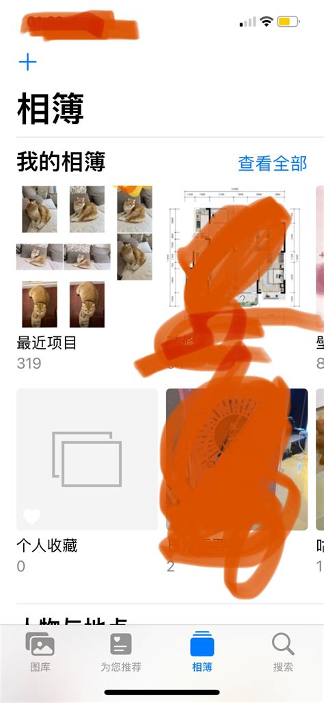 相册最近项目出现了图库没有的照片 Apple 社区