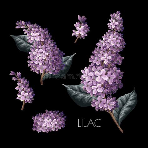 Flower Leves Stock Illustrations 267 Flower Leves Stock Illustrations