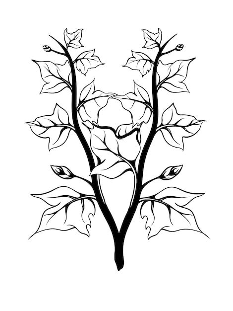 Premium Vector Vector Flower And Twig Design