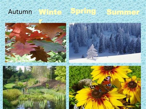 Which Comes First Spring Or Fall At Roger Monday Blog