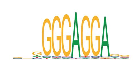 Jaspar Search Profile S