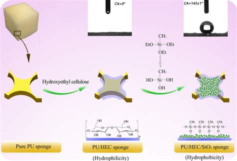 Schematic Illustration Of Hec Induced Self Assembly Synthesis Of The Download Scientific
