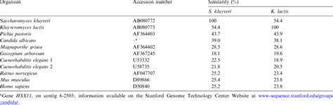 Sequence Similarity Of Putative Gcs Ampli¢ed From S Kluyveri And K