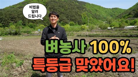 [바플티비]벼농사 전량 100 특등급 맞았어요~ Youtube