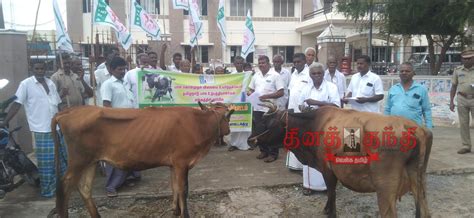 Struggle கொள்முதல் விலையை உயர்த்தக்கோரி பால் உற்பத்தியாளர்கள்