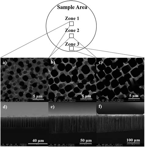 使用新型电池设计制造径向对称的梯度多孔硅。 Scientific Reports X Mol