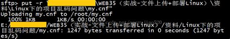 如何将在windows系统上写好的项目部署到linux服务器上？系统开发在windows系统部署在linux Csdn博客