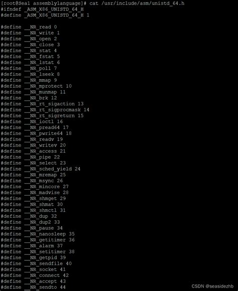 Linux系统64位atandt系统调用汇编指令syscalllinux Syscall Csdn博客