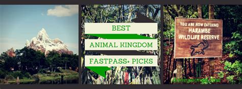 Disney Mamas Walt Disney World 101 ~ Fastpass Tiers And