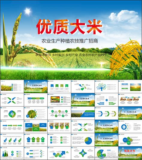 水稻五常有机大米PPT模板农业 自然 农业 PPT 多媒体图库 昵图网