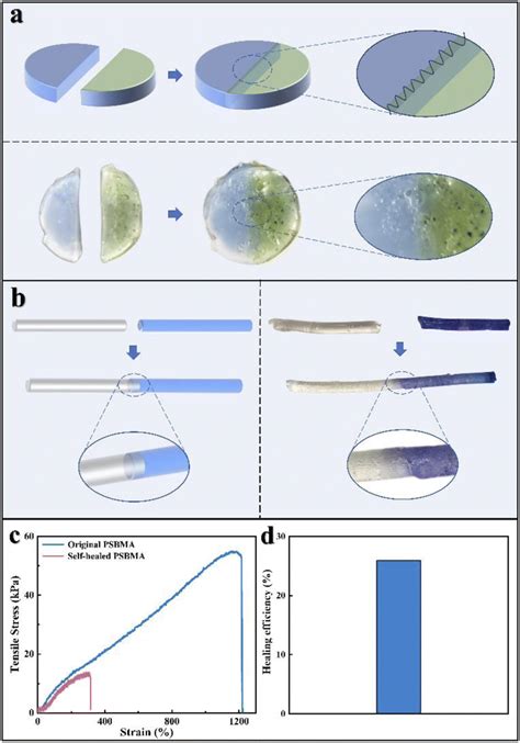 A Multi Functional Zwitterionic Hydrogel With Unique Micro Structure High Elasticity And Low