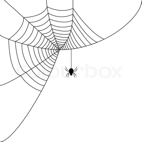 Spider Web Stock Vector Colourbox