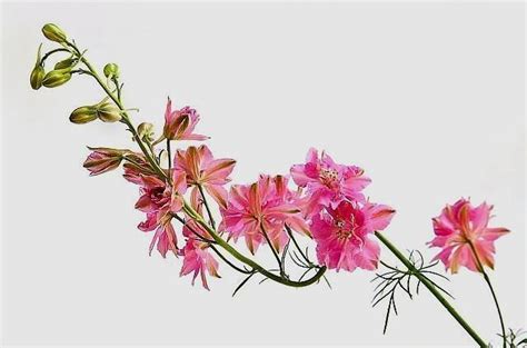 正确认识儿童早期的依恋关系 搜狐大视野 搜狐新闻