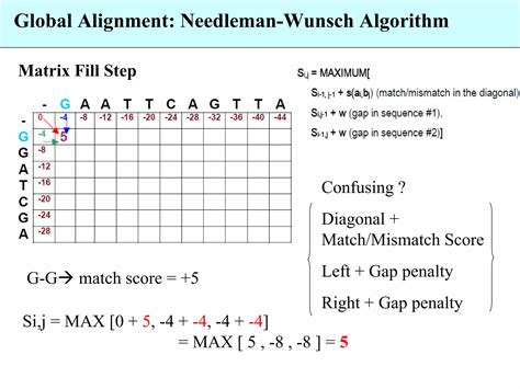 Sequence Alignments Complete Coverage Ppt