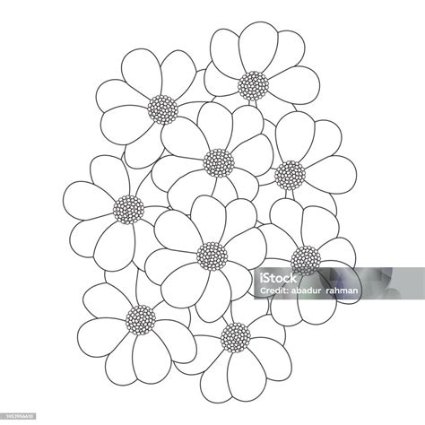여름 디자인 디자인을 위한 코스모스 식물의 윤곽 개화 코스모스 꽃 색칠하기 페이지 0명에 대한 스톡 벡터 아트 및 기타 이미지 0명 가든코스모스 꽃 식물 Istock