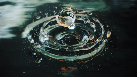 Fluid Motion On Behance