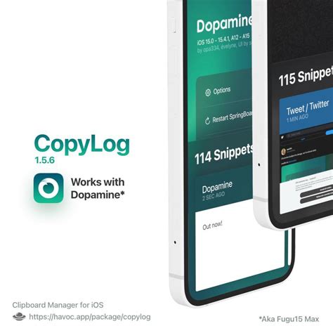 [update] Copylog Rootless For Dopamine Fugu 15 Max Out Now R Ios Jailbreak