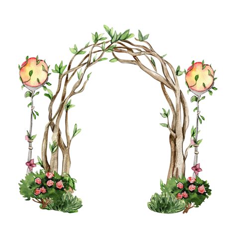 Composition With Green Tree And Bushes 24674953 PNG