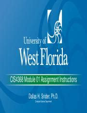 Cis Module Assignment Instructions Pdf Cis Module