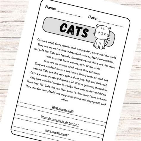Reading Comprehension Cats Made By Teachers